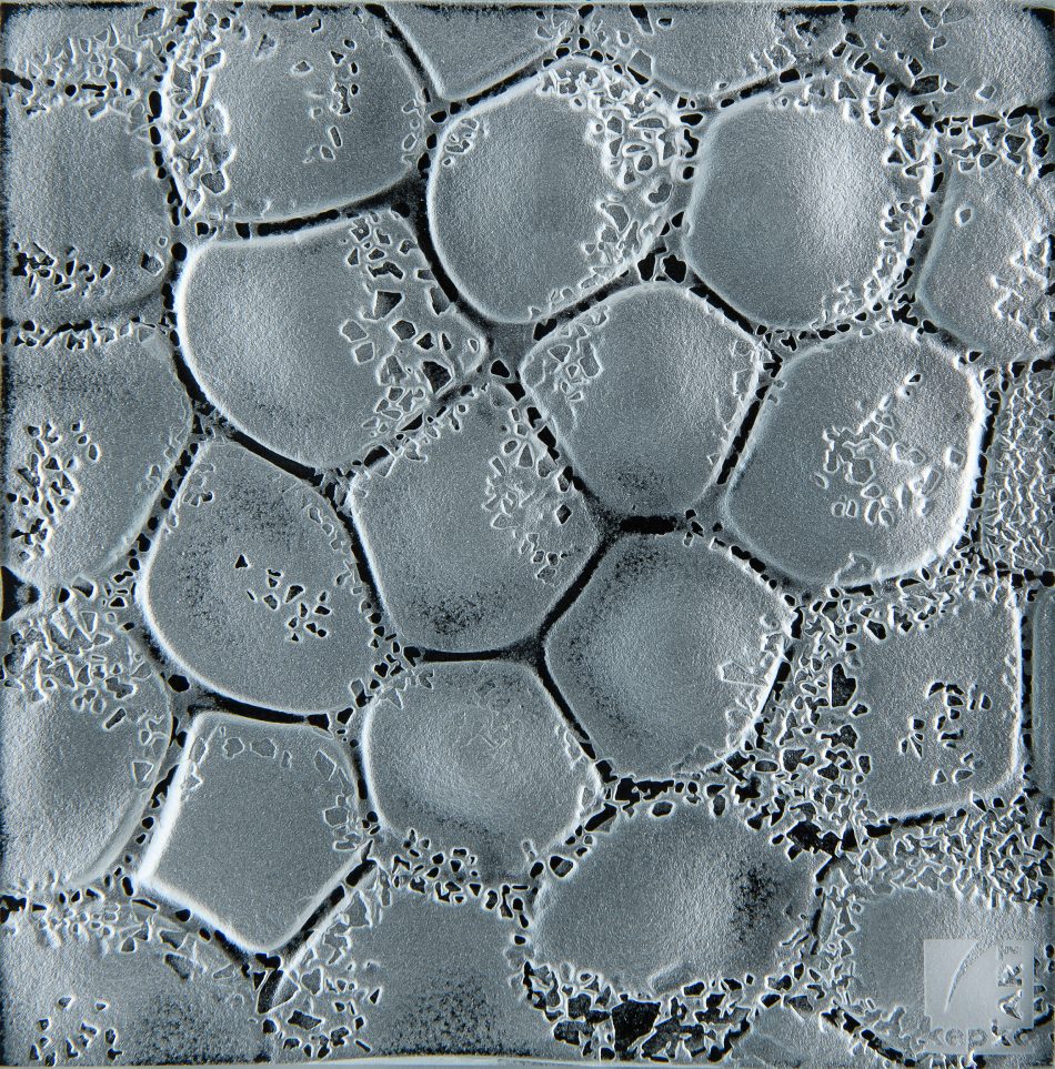 Kroko Option I – Kepka Art