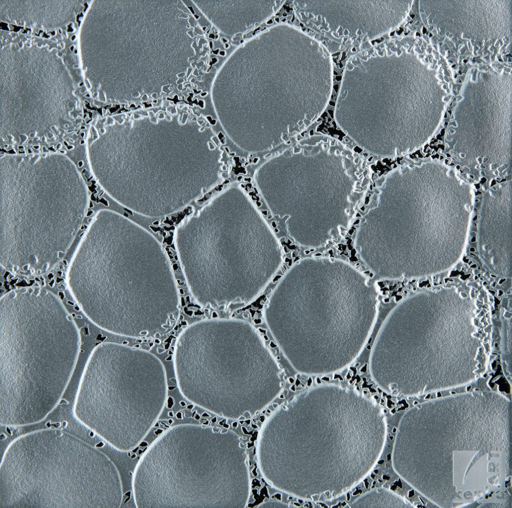 Kroko Option III – Kepka Art